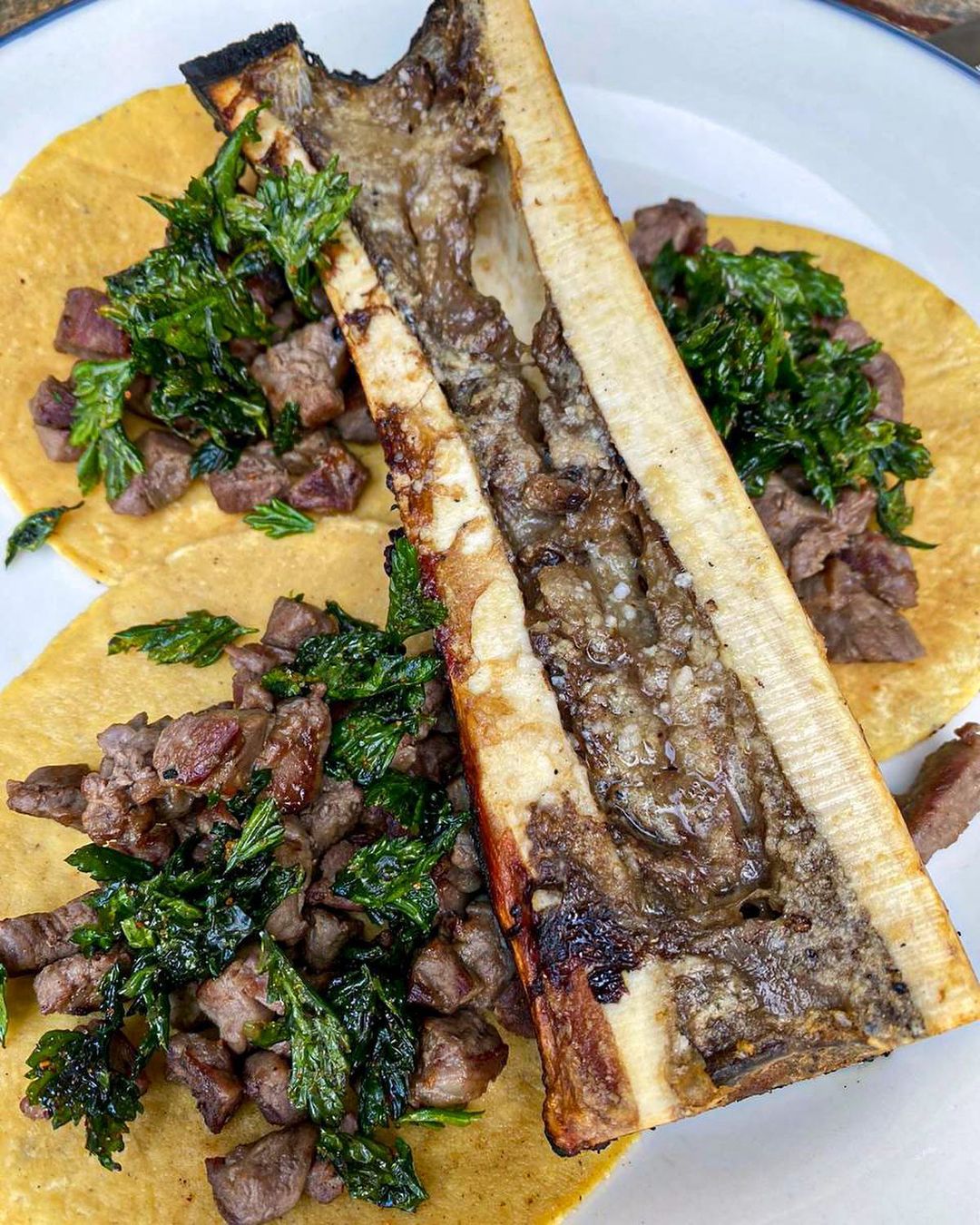 Estas son las 5 comidas mexicanas más raras, ¿te atreves a probarlas?