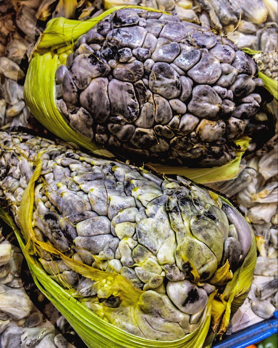 Estas son las 5 comidas mexicanas más raras, ¿te atreves a probarlas?