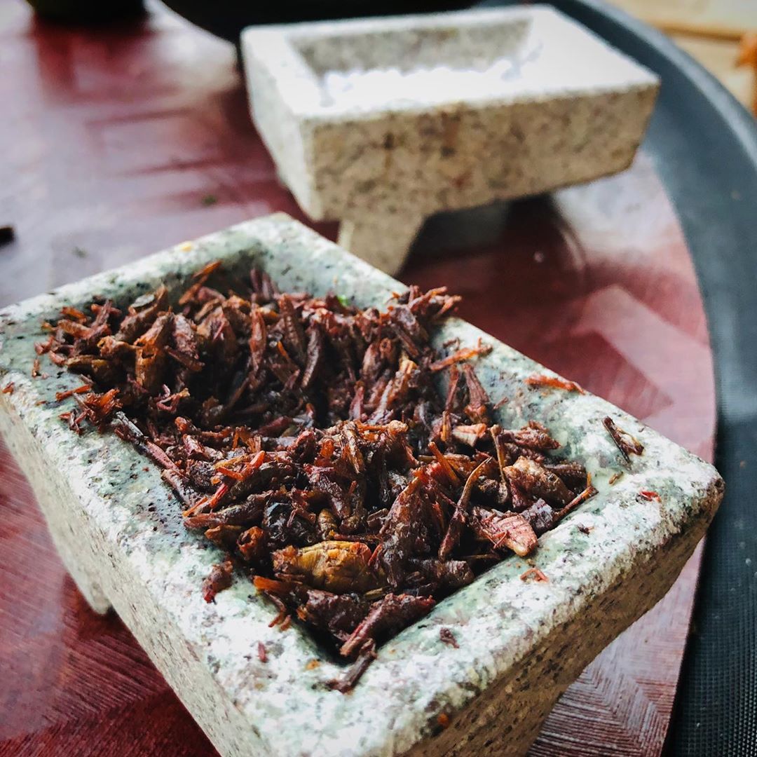 Estas son las 5 comidas mexicanas más raras, ¿te atreves a probarlas?