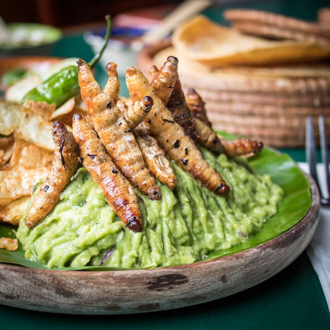 Estas son las 5 comidas mexicanas más raras, ¿te atreves a probarlas?