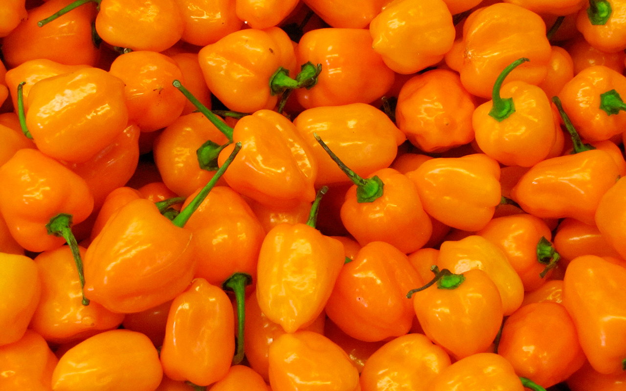 El chile, un fruto picante con exquisito sabor a México