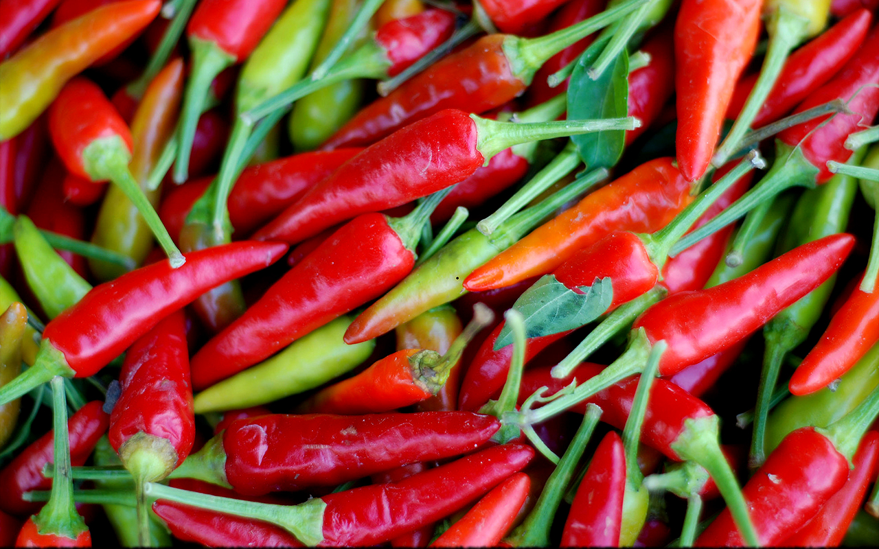 Chile fruits Free Photo Download FreeImages