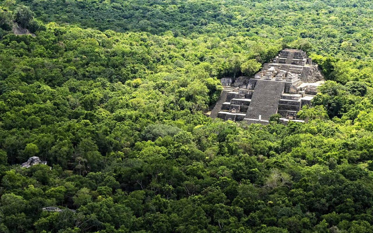 Calakmul recibirá turistas tras meses de estar cerrada por la pandemia