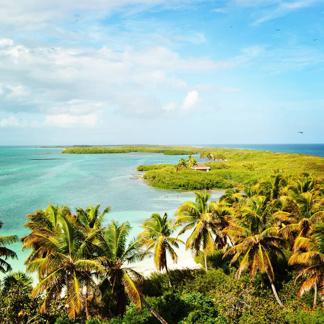 Esto es todo lo que ofrece la Isla Contoy - México Ruta Mágica