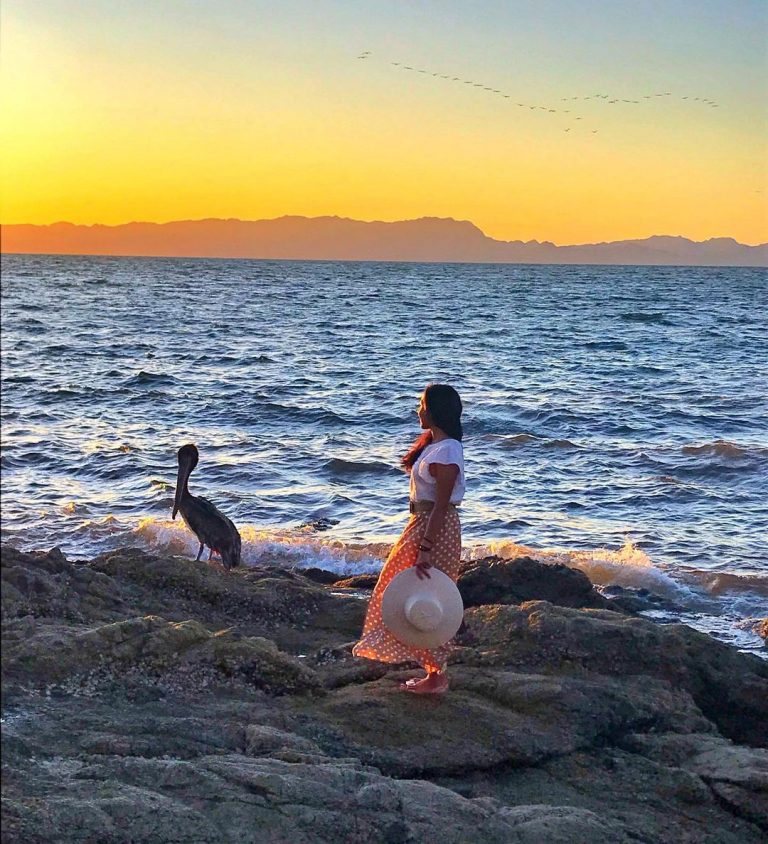 Isla Tiburón, la más grande de México y territorio seri