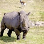 Yumka, reserva ecológica que te acerca a la naturaleza