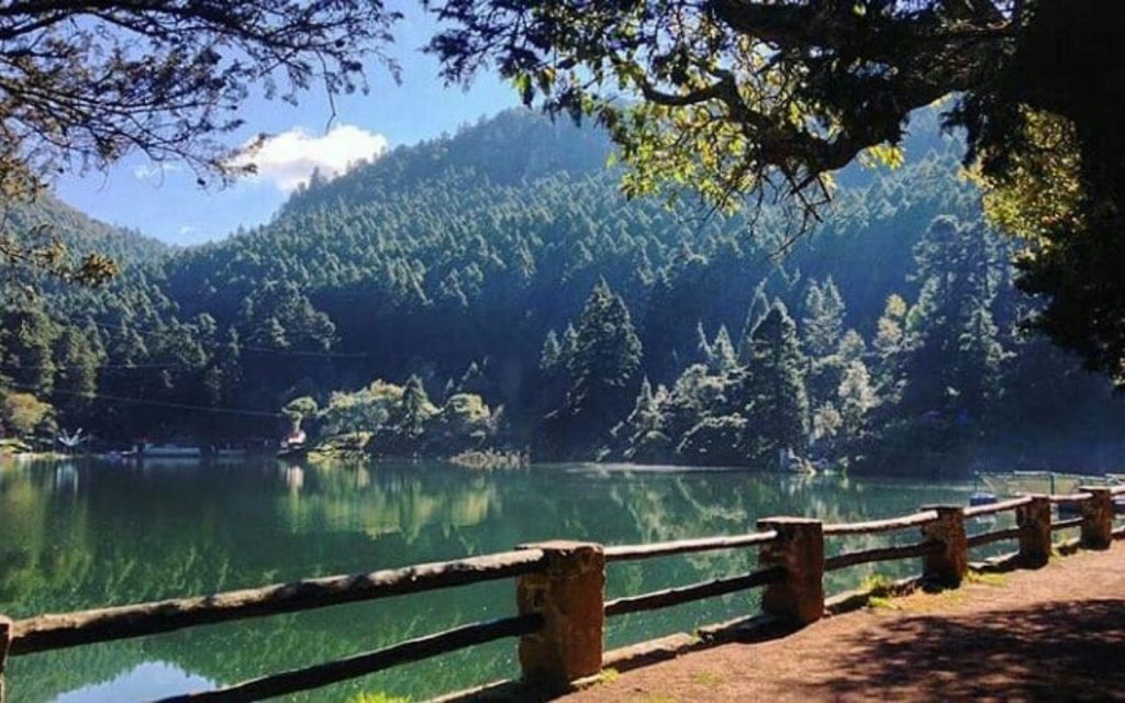 El Cedral: descubre este maravilloso parque recreativo en Hidalgo