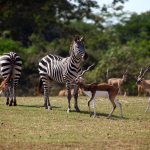 Yumka, reserva ecológica que te acerca a la naturaleza
