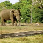 Yumka, reserva ecológica que te acerca a la naturaleza