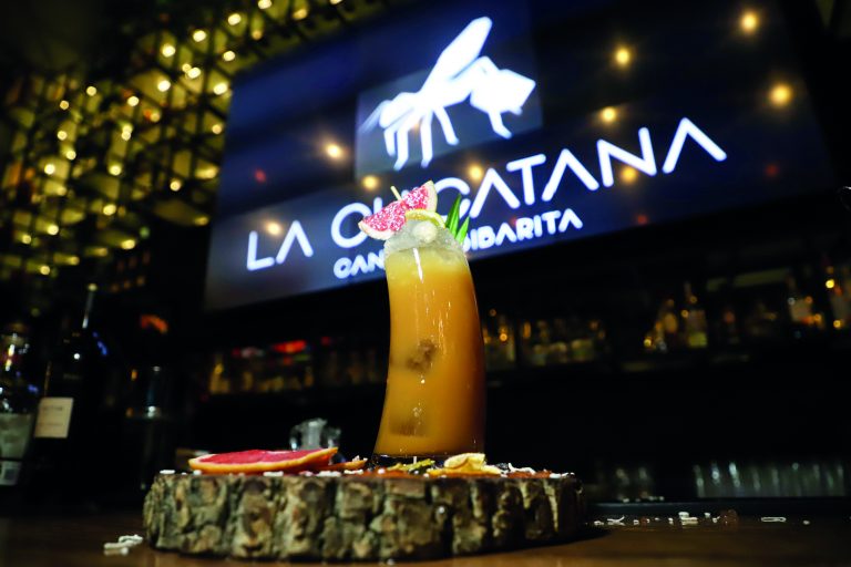 La Chicatana, tradición innovadora - México Ruta Mágica