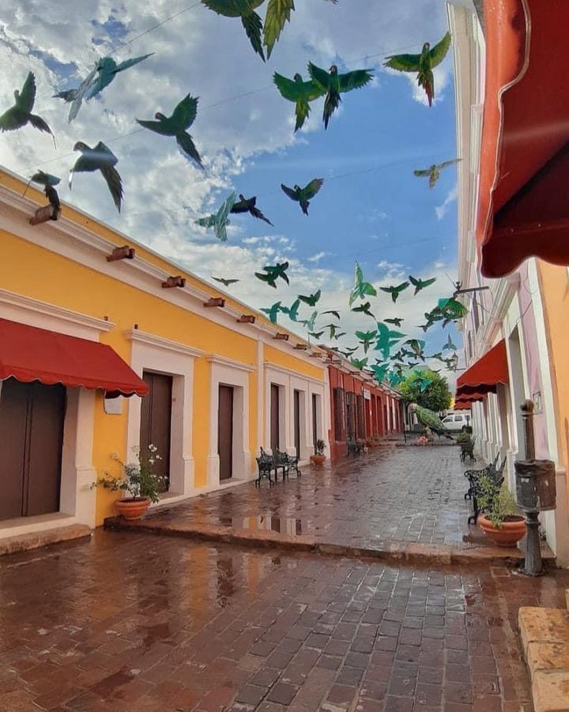 Orgullo natural y minas antiguas en Cosalá, Sinaloa