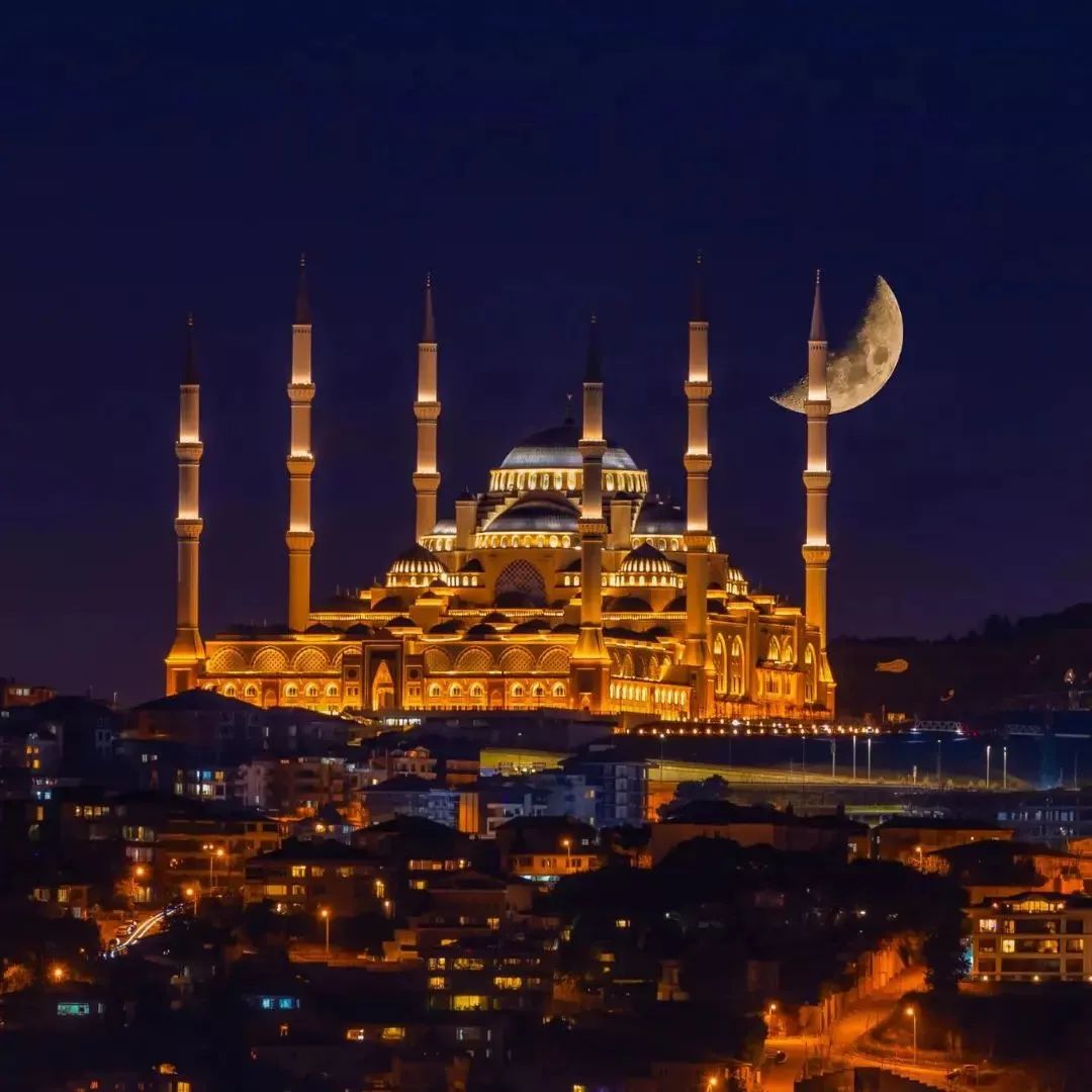 Turismo en Estambul: qué hacer y qué comer aquí