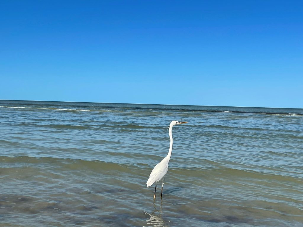 Punta Mosquito, playa paradisíaca de Isla Holbox