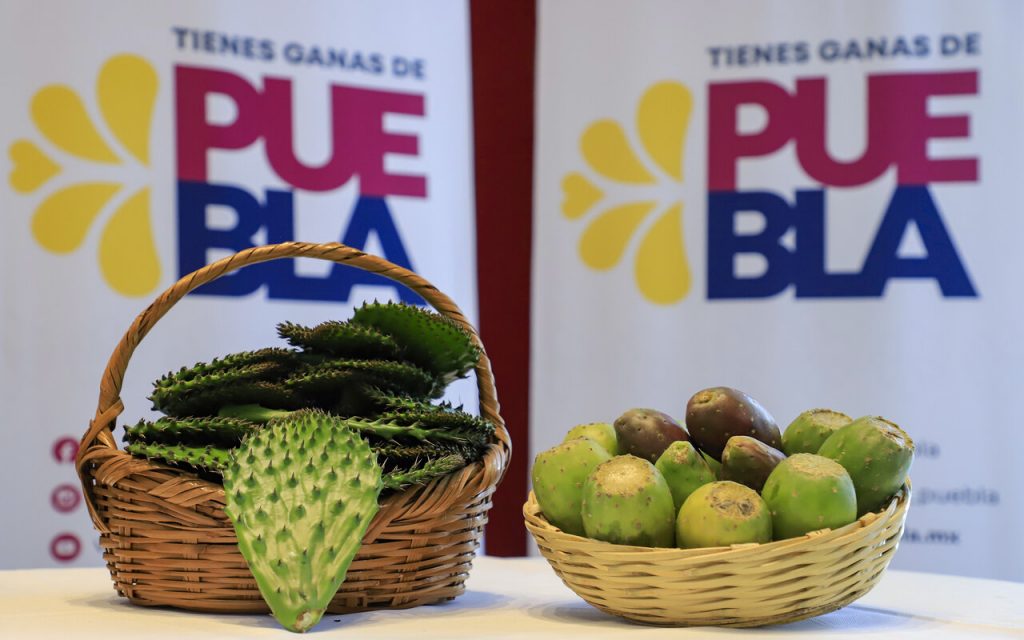 Feria del nopal y de la tuna en San Sebastián Villanueva – México Ruta ...