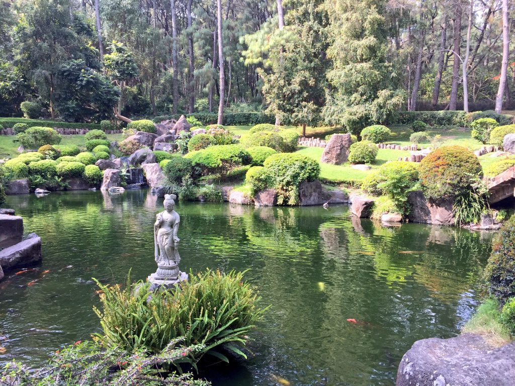 Colomos, el pulmón secreto de Guadalajara