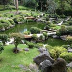 Colomos, el pulmón secreto de Guadalajara