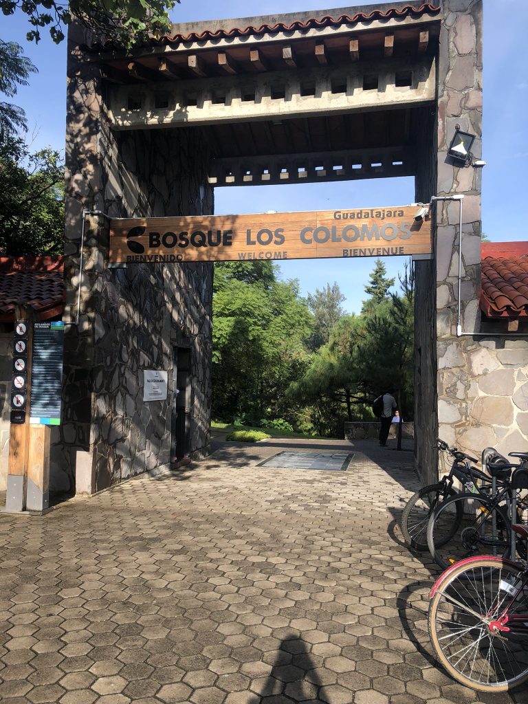 Colomos, el pulmón secreto de Guadalajara