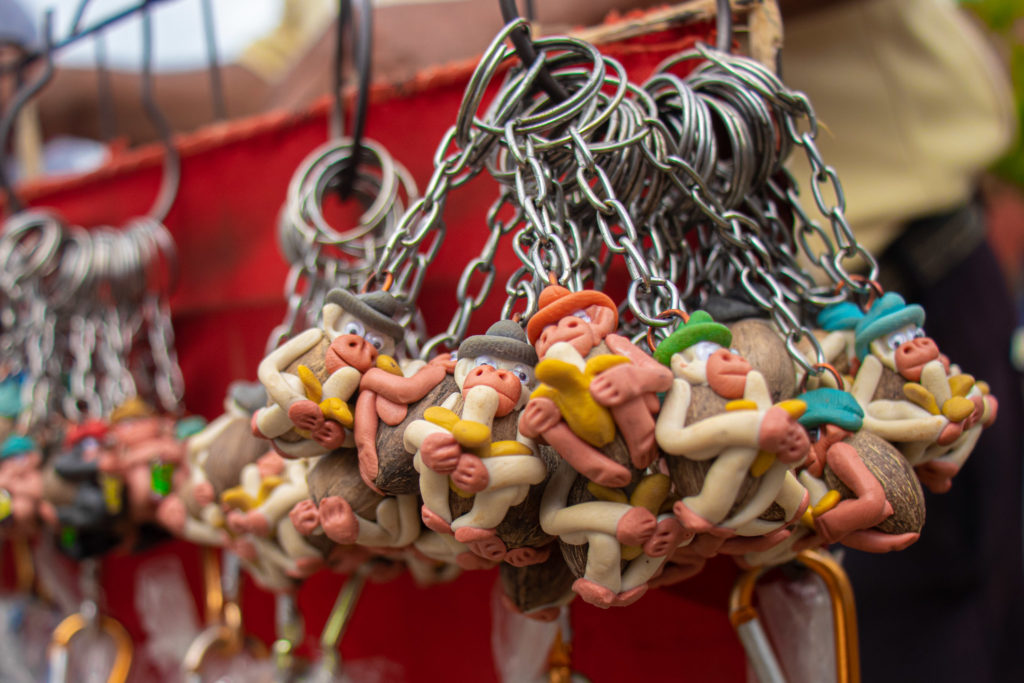 Catemaco: Da un paseo en lancha y conoce una finca cafetalera