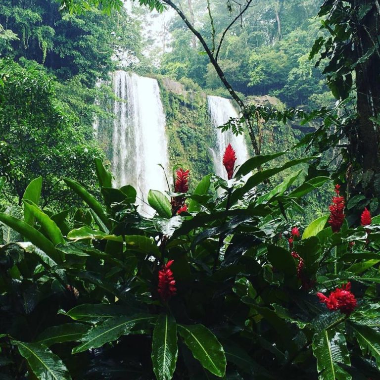 Conoce la cascada Misol-Ha y diviértete como se debe