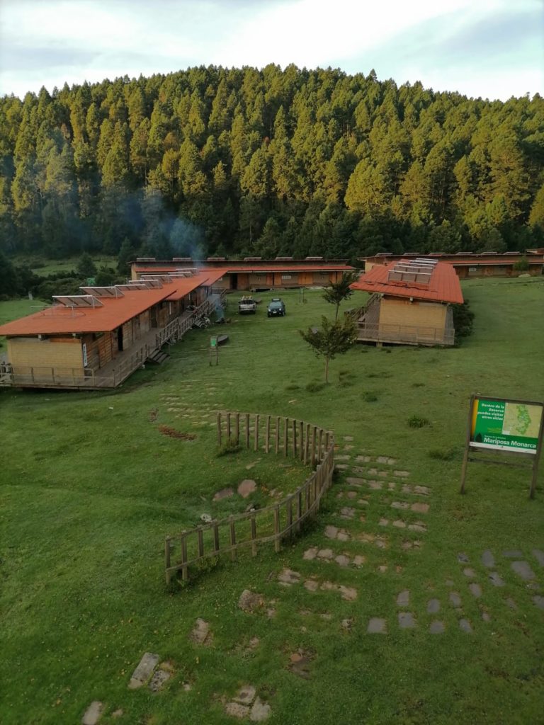 Conoce santuarios para admirar a la Mariposa Monarca