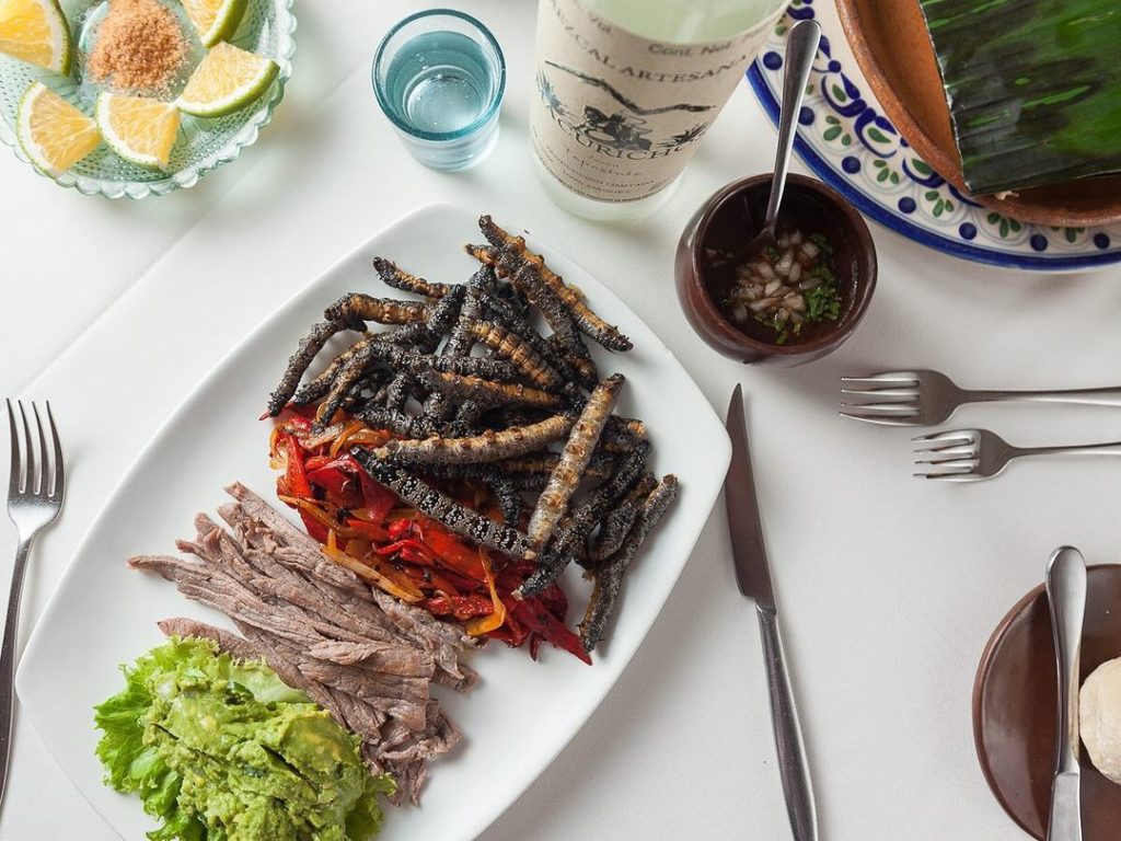 5 insectos comestibles en México - México Ruta Mágica