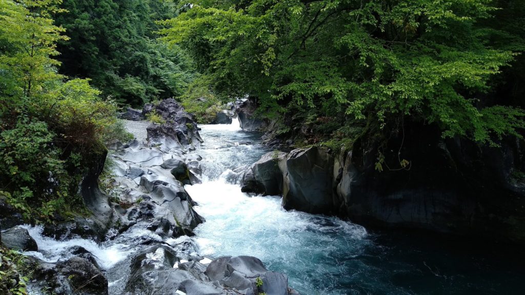 Parque Nacional de Nikkō: piérdete entre su naturaleza, templos y ...