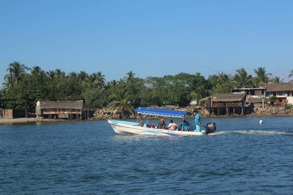 Lagunas de Chacahua: descubre la magia de la bioluminiscencia