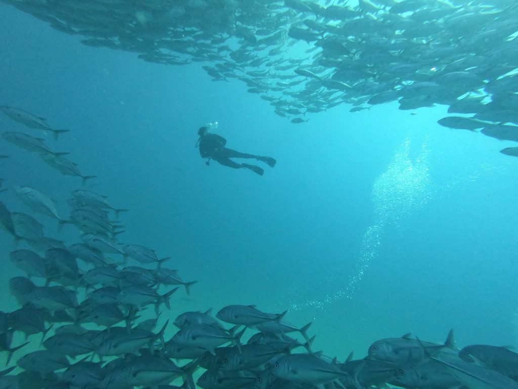 Vive una mágica experiencia en el Parque Nacional Cabo Pulmo