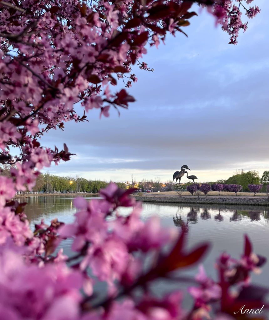 Guachochi: diviértete entre barrancas, un lago y una cascada