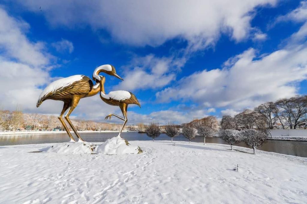 Guachochi: diviértete entre barrancas, un lago y una cascada