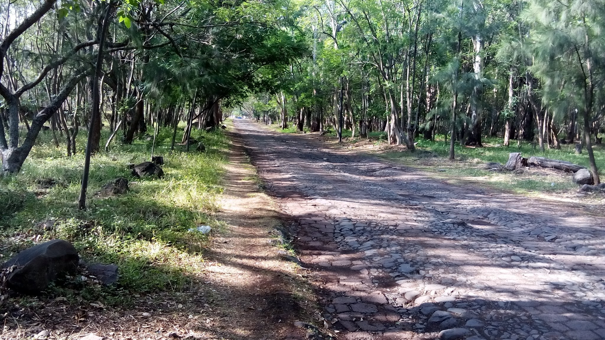 Jiquilpan: recorre un Pueblo Mágico lleno de cultura y tradición