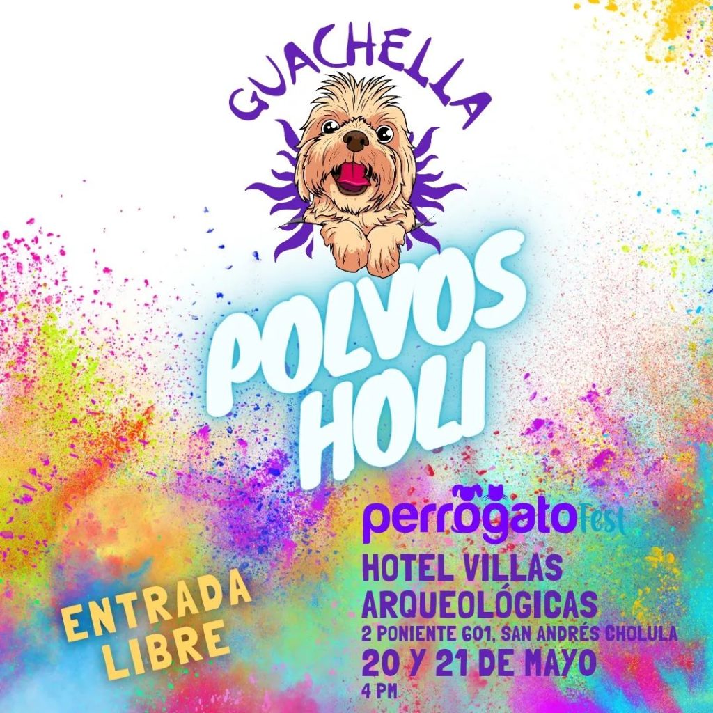 Lleva a tus mascotas a disfrutar del Perrogato Fest 2023