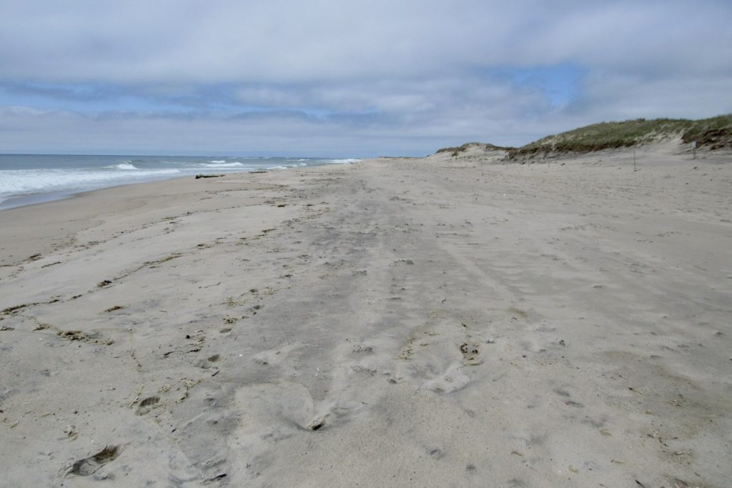 Nantucket: navega y enamórate de esta antigua isla ballenera