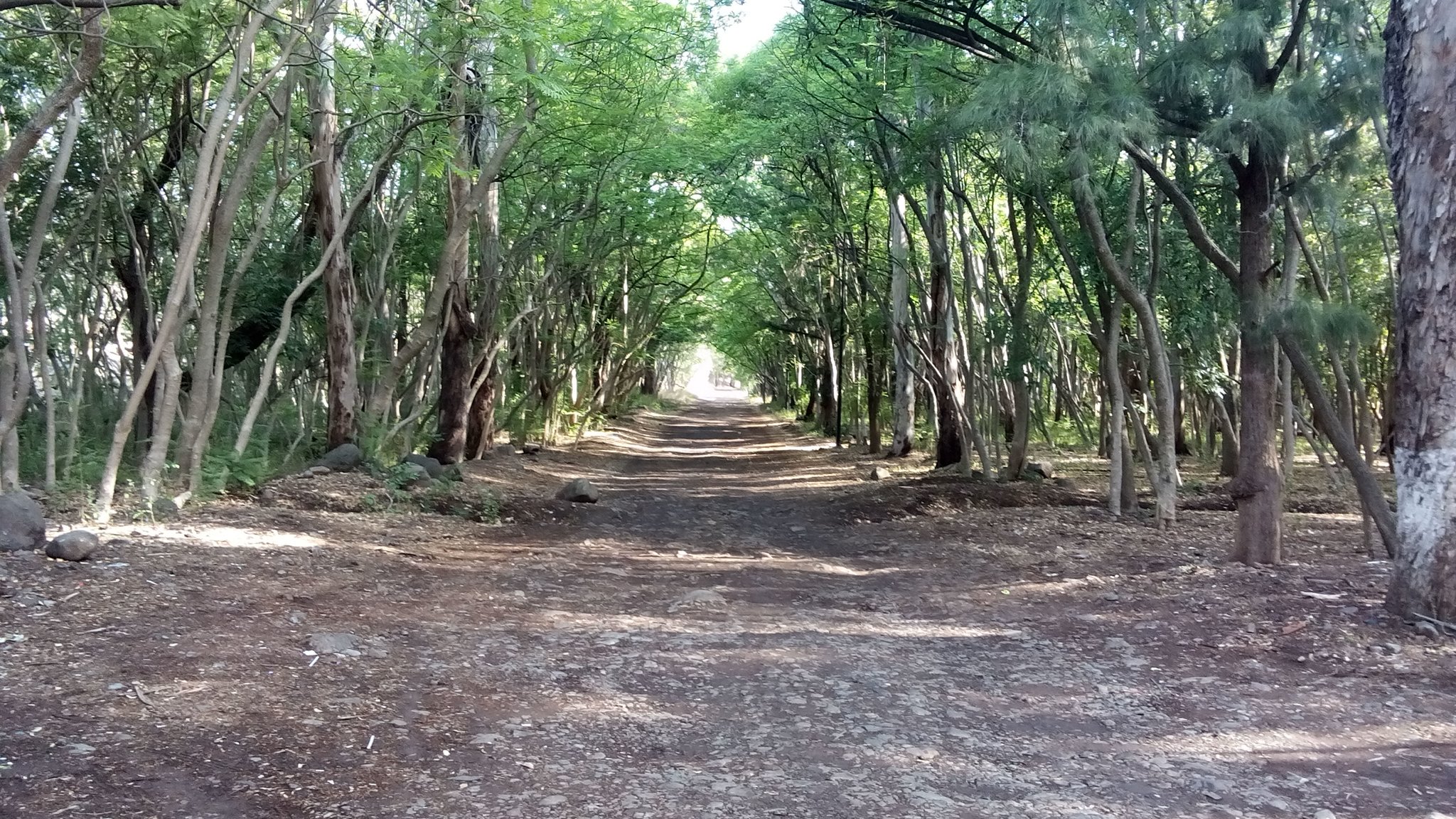 Jiquilpan: recorre un Pueblo Mágico lleno de cultura y tradición