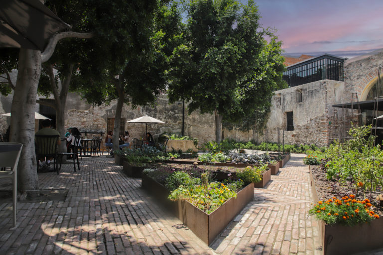 La Colecturía: convergencia de saberes, experiencias y sabores