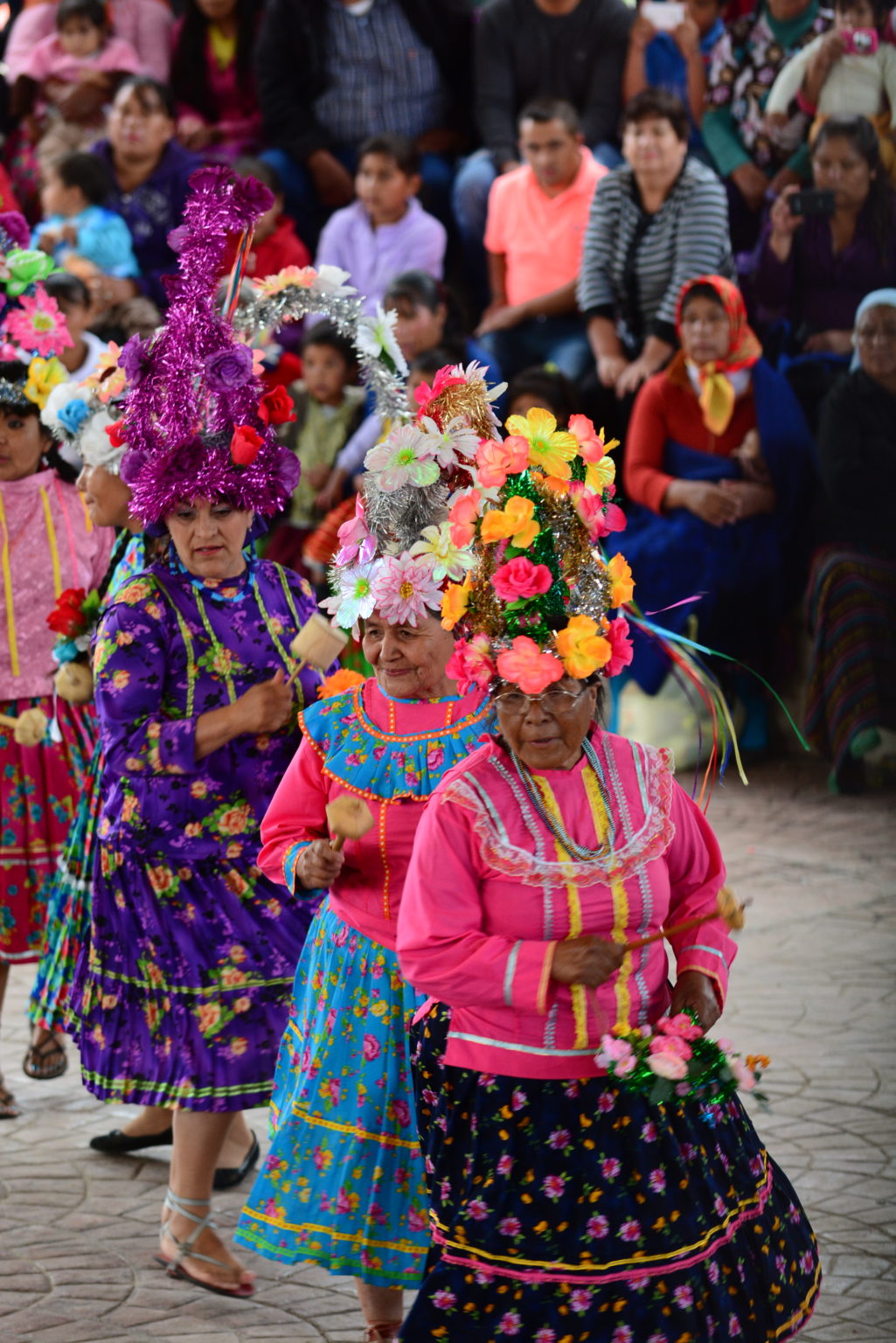 Qué hacer en Guachochi: 5 actividades ecoturísticas
