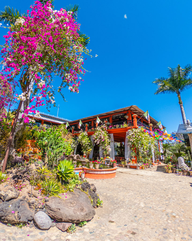 Qué hacer en Puerto Vallarta: 10 actividades imperdibles