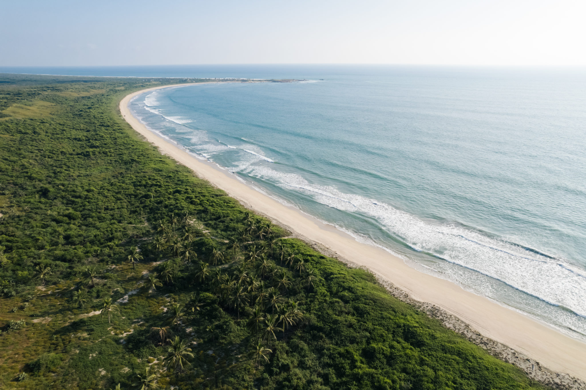 Xala: un proyecto sostenible y regenerativo en Costalegre