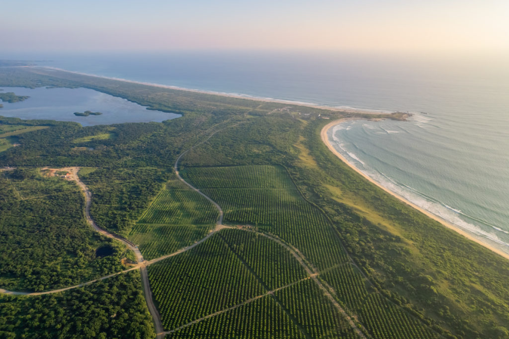 Xala: un proyecto sostenible y regenerativo en Costalegre