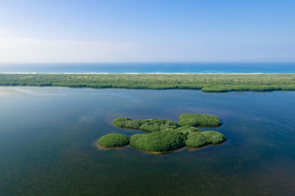 Xala: un proyecto sostenible y regenerativo en Costalegre