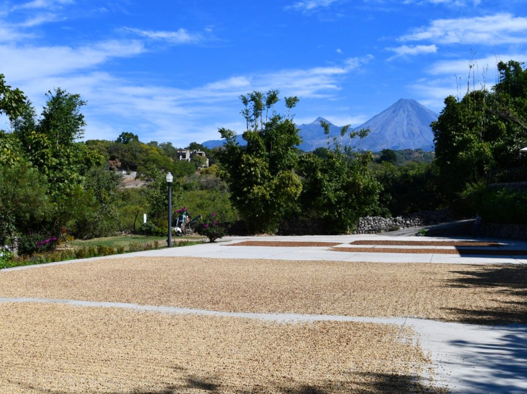 Café de Colima, una joya gastronómica que debes probar