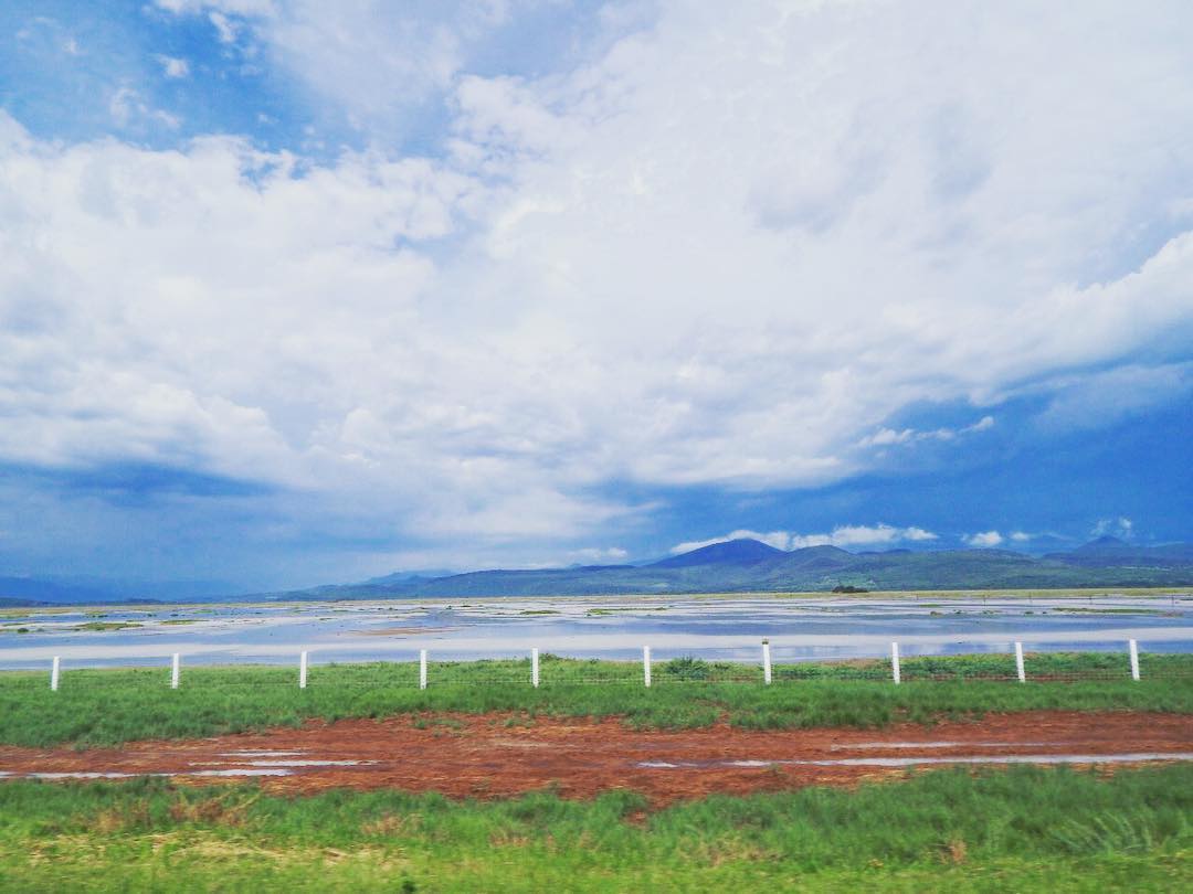 Laguna de Sayula, explora un santuario de aves y de arqueología