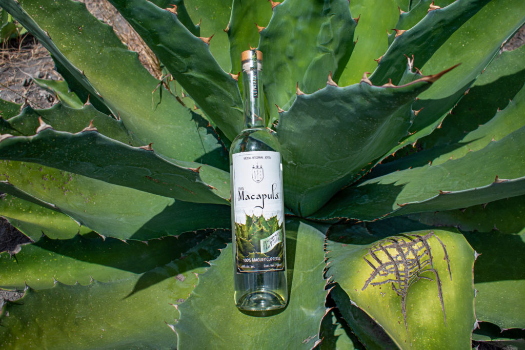 La Ruta del Mezcal poblano – México Ruta Mágica