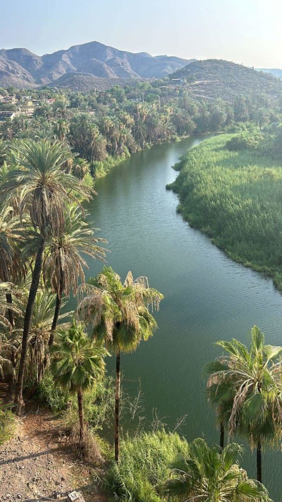 Mulegé: disfruta de un oasis en medio del desierto de Baja California Sur