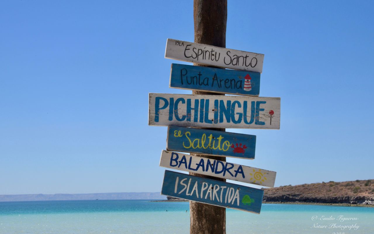 Playa Pichilingue: relájate en esta joyita bajacaliforniana entre sus ...