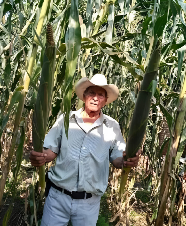 Jala 2025: el elote más grande del mundo te espera